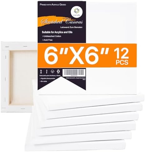 Amazon.com: CertBuy Stretched Canvas 6 x 6 inch, 24 Pack 100% Cotton ...