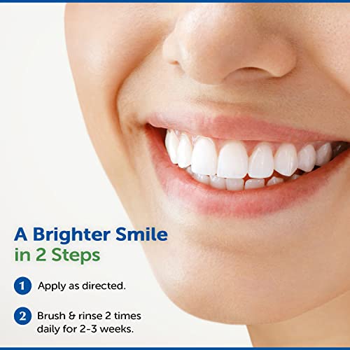 The 25 Best ECO-DENT Toothpaste of 2024 [Verified] - Cherry Picks