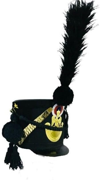 Amazon.com: French Napoleonic Leather Shako Helmet, Napoleonic Black ...