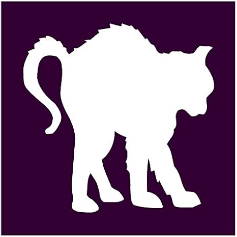 Amazon.com: Auto Vynamics - Stencil-Witch-CAT - Classic Black Cat ...