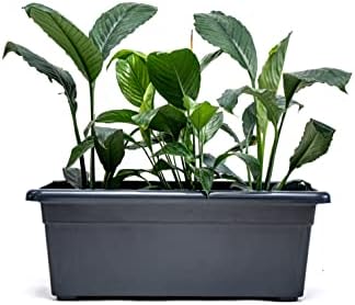 Nested Greens - Jupiter Window Planter | Window Plant Container 9 x 24 ...