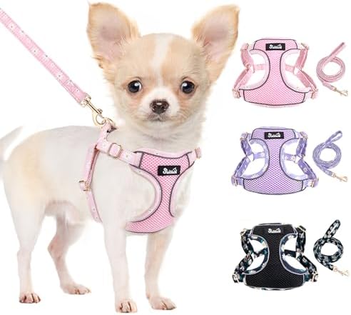 Amazon.com : SlowTon Small Dog Harness - No Pull Dog Harness and Leash ...