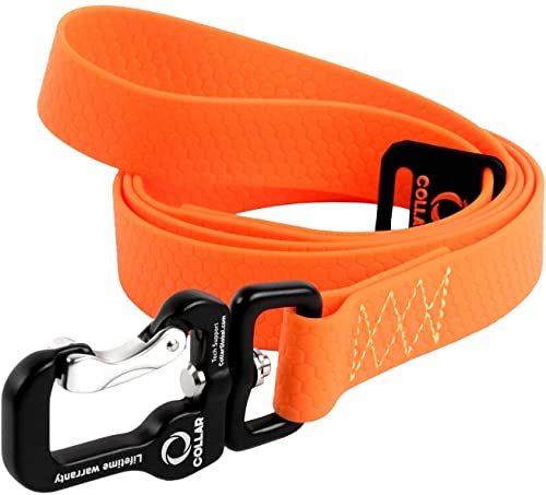 The 10 Best Heavy Duty Dog Leashes For Strong Pups Who Pull!