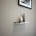 Amazon.com: Floating Ledge Stainless Steel for Photo and Picture 3,5 ...
