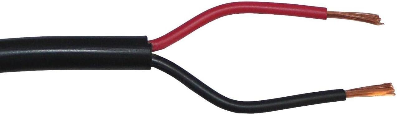Lumonic 50 m FLRYY 2 Core Vehicle Cable I Vehicle Cable with Cable ...