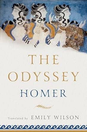 The Odyssey : Homer, Wilson, Emily: Amazon.ca: Books