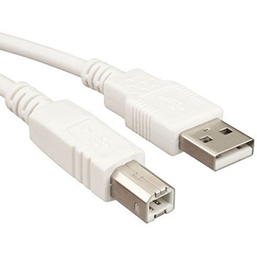 Terabyte TB-USB 3 Mtr USB Cable - Buy Terabyte TB-USB 3 Mtr USB Cable ...