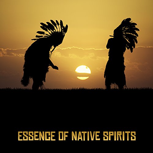 Play Essence of Native Spirits: Healing Native American Flute and Drums ...