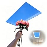 ・ブランド:HPMCVE・【自然光で生産性を高める】: このスマートLED青空シーリングライトは、屋外日光の95%のスペクトルを再現しており、仕事の疲労を軽減し、集中力を向上させることが証明されています。窓のないオフィス、会議室、クリエイテ...