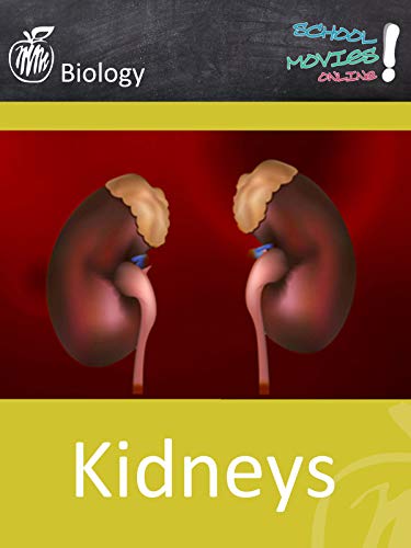 10 Dangerous Dog Foods That Could Be Causing Kidney Failure – A Must ...