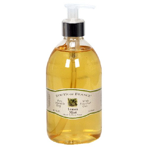 Amazon.com : South of France Liquid Soap, Lemon Mint, 16.9-Ounce Bottle ...