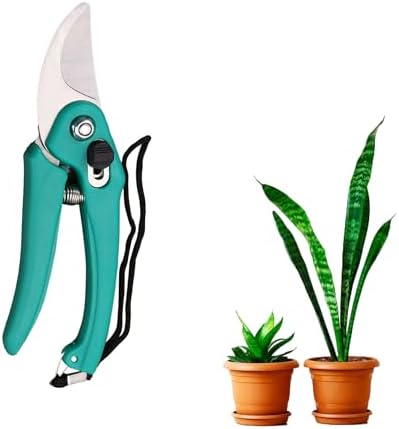Growtop Assorted Hand Pruner Cutter - 1Pc (Steel Blades) | Gardening ...