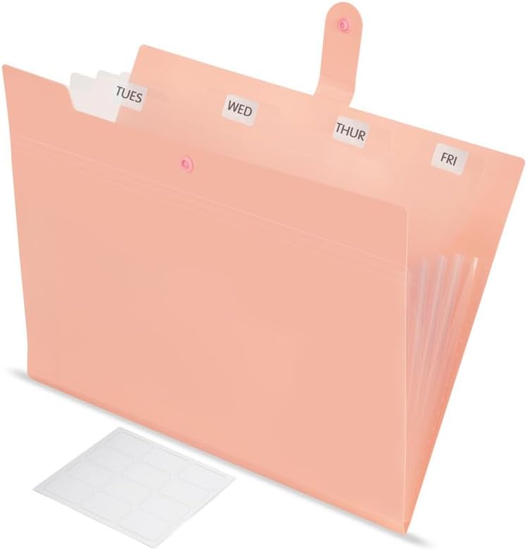 Amazon.com : Essex Wares 5 Pocket Expanding File Folder - Light Pink ...