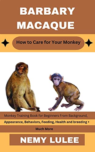 BARBARY MACAQUE How to Care for Your Monkey : Monkey Training Book for ...