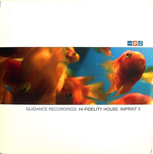 Various Artists - Hi-Fidelity House Imprint, Vol. 3 [Vinyl] - Amazon ...