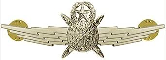 Amazon.com: Air Force Badge: Master Cyberspace Operator: Regulation ...
