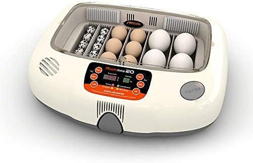 Amazon.com : R-Com RCOM Max 20 MX20 Automatic Egg Incubator Plus Bonus ...