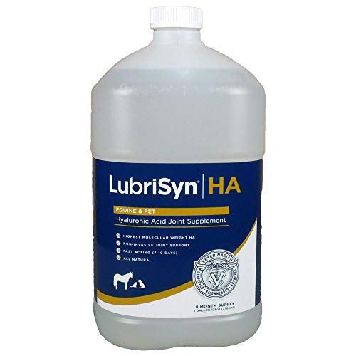 LubriSyn For Horses: A New Era of Joint Care - HorseGroomingSupplies.com