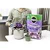 Amazon.com : Miracle-Gro African Violet Potting Mix, 8 qt. : Soil And ...