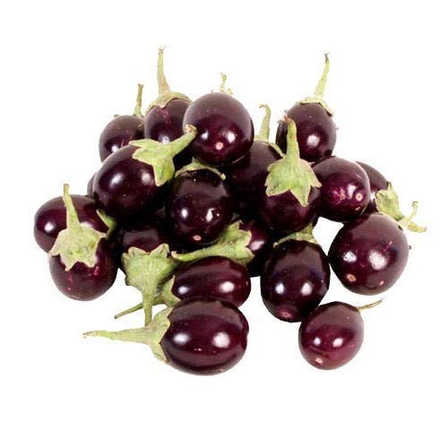 Brinjal Chu Chu Vegetable Seeds For Summer Season Home Gardening Pack ...