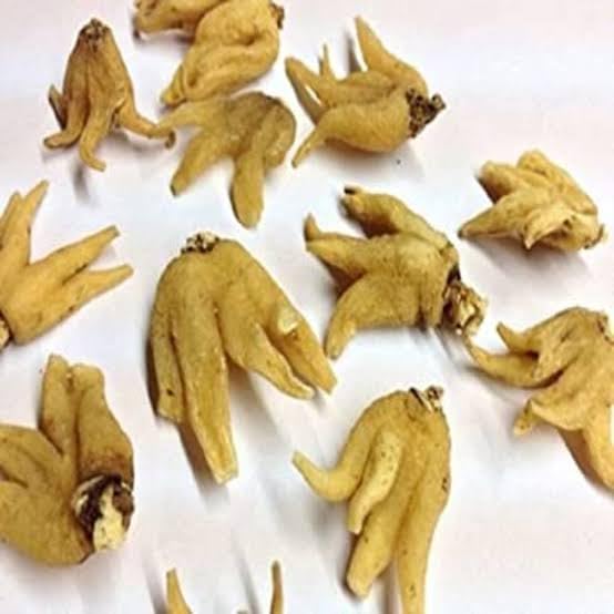 Ayurvedic Zone Original Yellow Salam Panja - Hatta Haddi - Panchaule ...