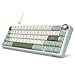 Amazon.com: RK ROYAL KLUDGE R65 Wired Mechanical Keyboard with Volume ...