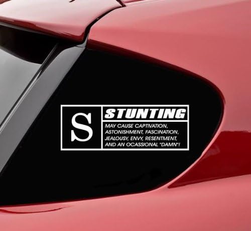 Amazon.com: Slap-Art Stunting Funny Vinyl Decal Bumper Sticker car ...