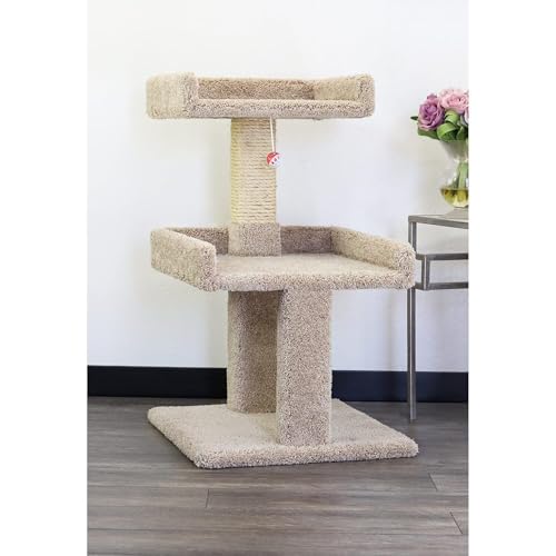 Chewy Cat Trees – The 15 best products compared - Wild Explained