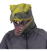 Amazon.com: CrDoJu Halloween Black Crow Head Mask Raven Mask Bird Full ...