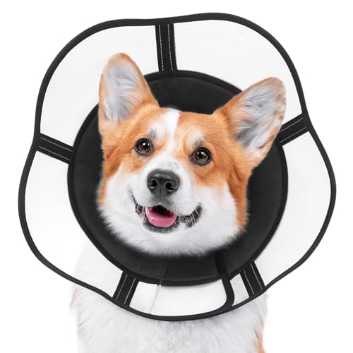 Cono Suave para Perros – Los 15 mejores productos comparados - Wild ...