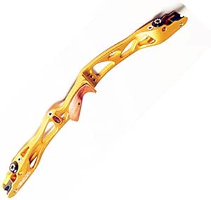 Amazon.com : YOUYI New Aluminum Bow Riser 25" for Shooting use (Golden ...