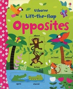 Opposites Lift the Flap: Felicity Brooks: 9780794534738: Amazon.com: Books