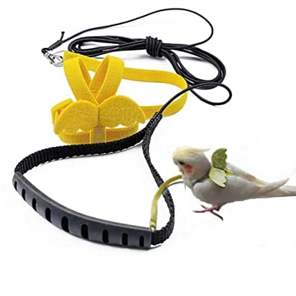 NESTKART Adjustable Parrot Bird Harness Leash Set Anti-bite Training ...