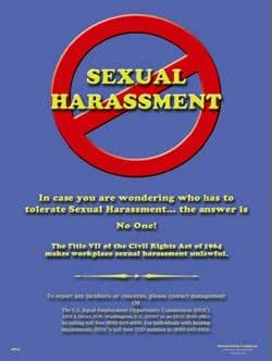 National Safety Compliance Do Not Commit Sexual Harassment Laminated ...