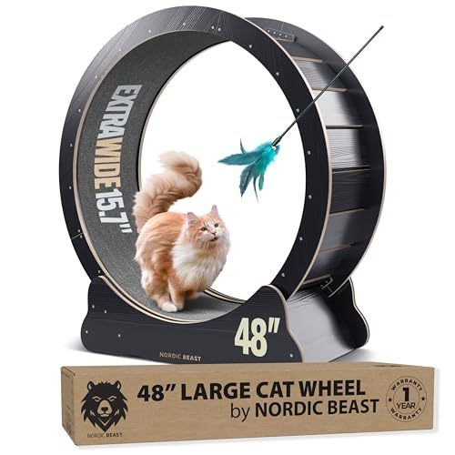 6 Best Cat Exercise Wheels For Optimal Indoor Exertion