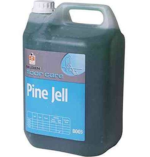 Selden SPD945 Pine Jell Floor Cleaner, 5 L : Amazon.co.uk: Grocery