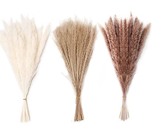 Cierra Morgan's Amazon Page