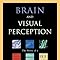 Brain and Visual Perception: The Story of a 25-Year Collaboration ...