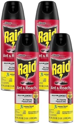 Amazon.com: Raid Ant & Roach Killer Lemon Scent 17.5 Ounce (Pack of 1 ...