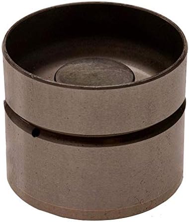 Amazon.com: ACDelco HL118 GM Original Equipment Engine Hydraulic Valve ...