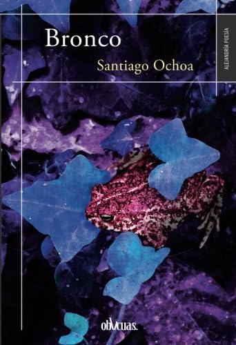 Amazon.com: BRONCO (Spanish Edition): 9788416118663: SANTIAGO OCHOA: Books
