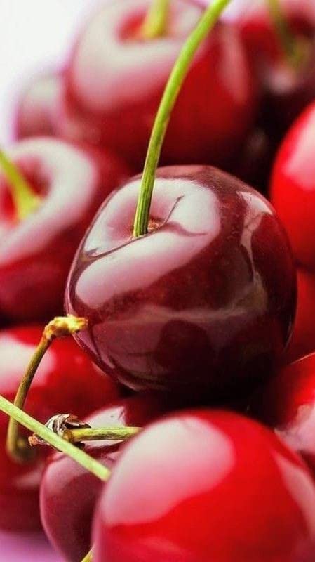 Ritz Farming® Cherry fruit seeds | Red cherry seeds | Fruit seed For ...