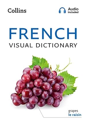French - English Bilingual Visual Dictionary: DK: 9780744092790: Amazon ...