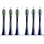 Amazon.com : Replacement Toothbrush Brush Heads for Wagner & Stern and ...