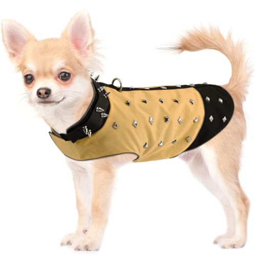 Spike Vest for Dogs – The 15 best products compared - Wild Explained