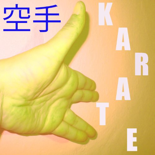 Amazon.com: Karate Muziek Vol. 6 : Kanga Sakugawa: Digital Music