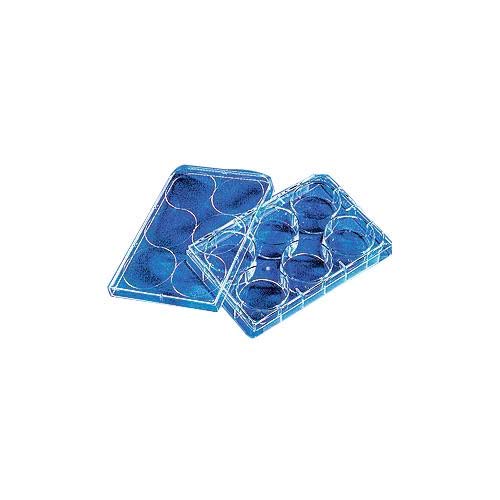 CORNING 3979 Synthemax-R Surface Multiple Well Plate with Lid, Sterile ...