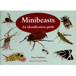 Minibeasts: An Identification Guide: Amazon.co.uk: Smithers, Peter ...