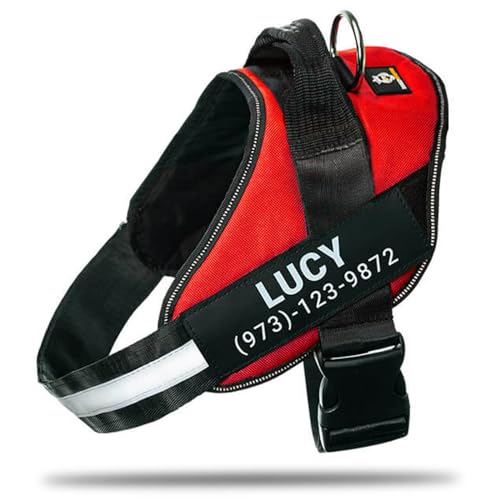 Custom Dog Harness – The 15 best products compared - Wild Explained