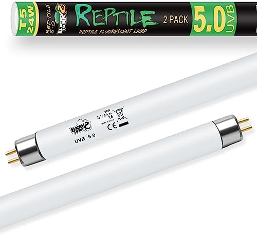 Amazon.com : LUCKY HERP 2 Pack T5 UVB 5.0 Reptile Light 24W, UVA UVB ...